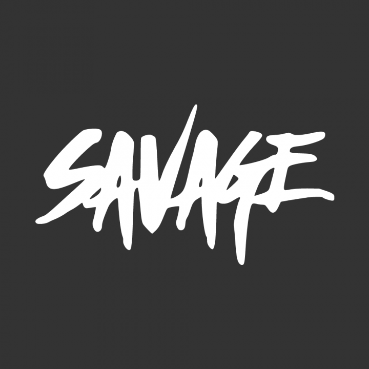 DRIFT HUNTERS Sticker – Super Grafix